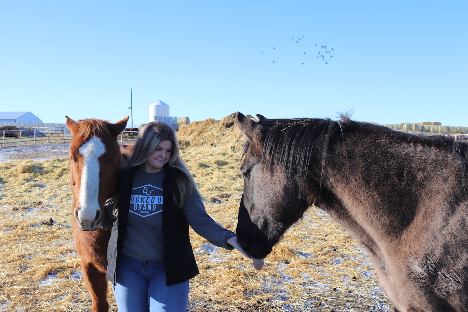 The Branded Roan
